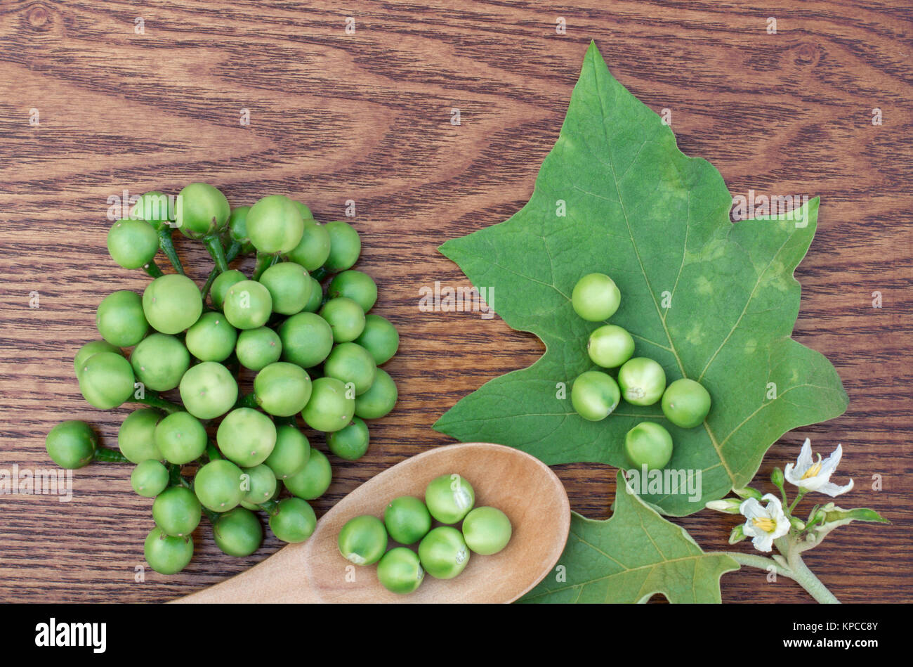 Turkey berry hi-res stock photography and images - Alamy