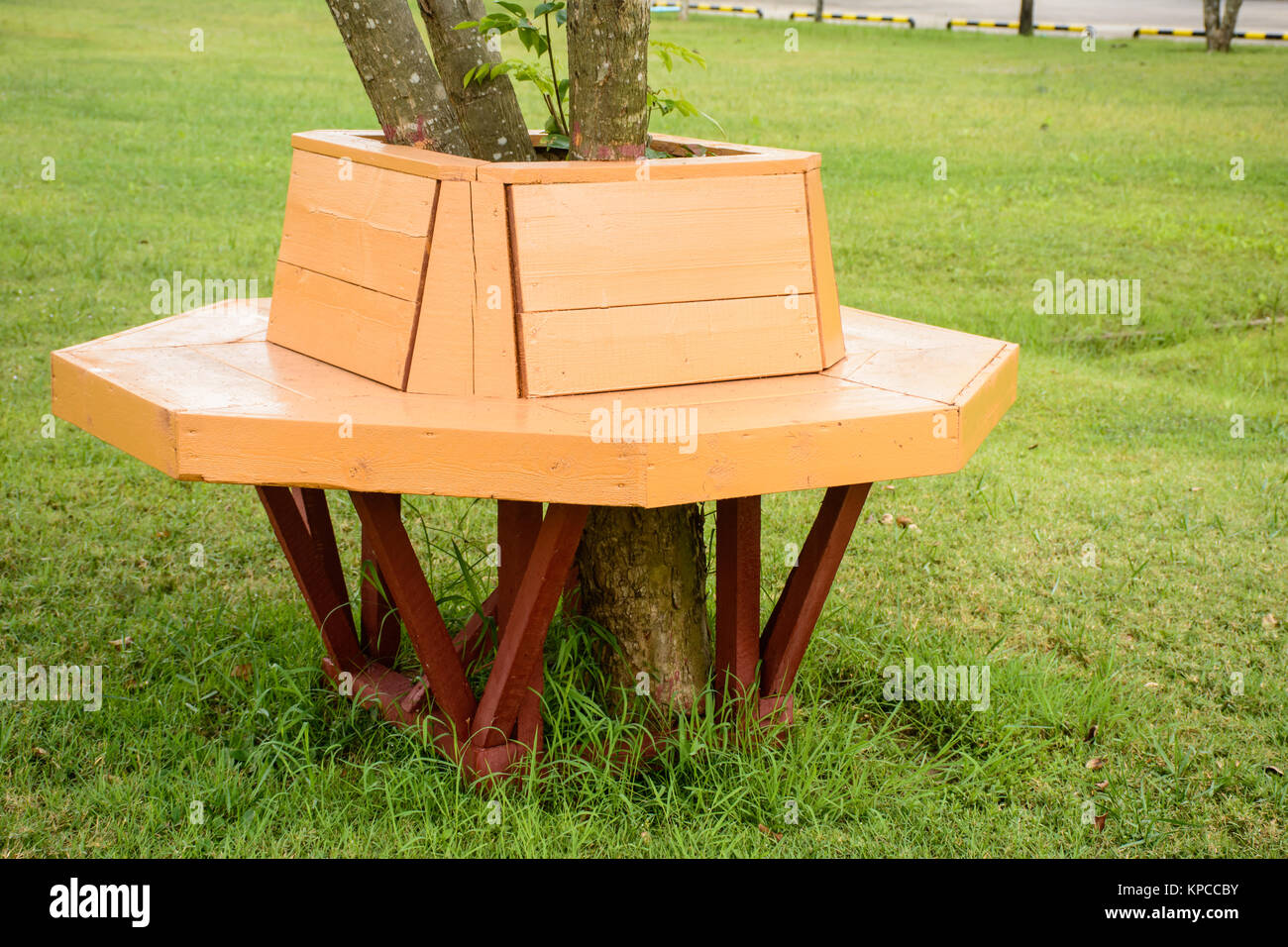 wooden bench under the tree Stock Photo - Alamy