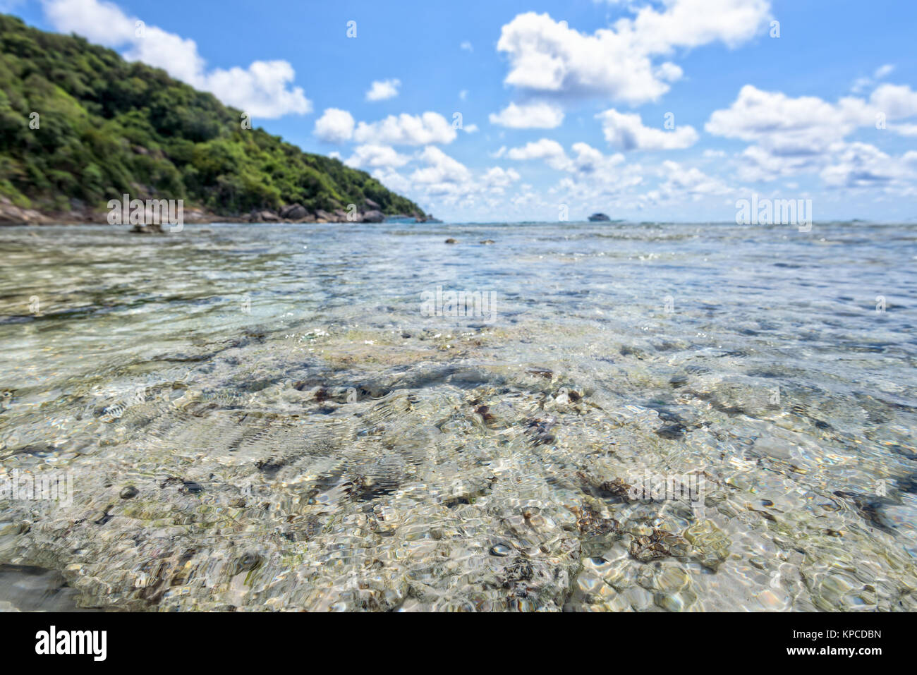 Shore coral reef at Similan Islands in Thailand Stock Photo - Alamy