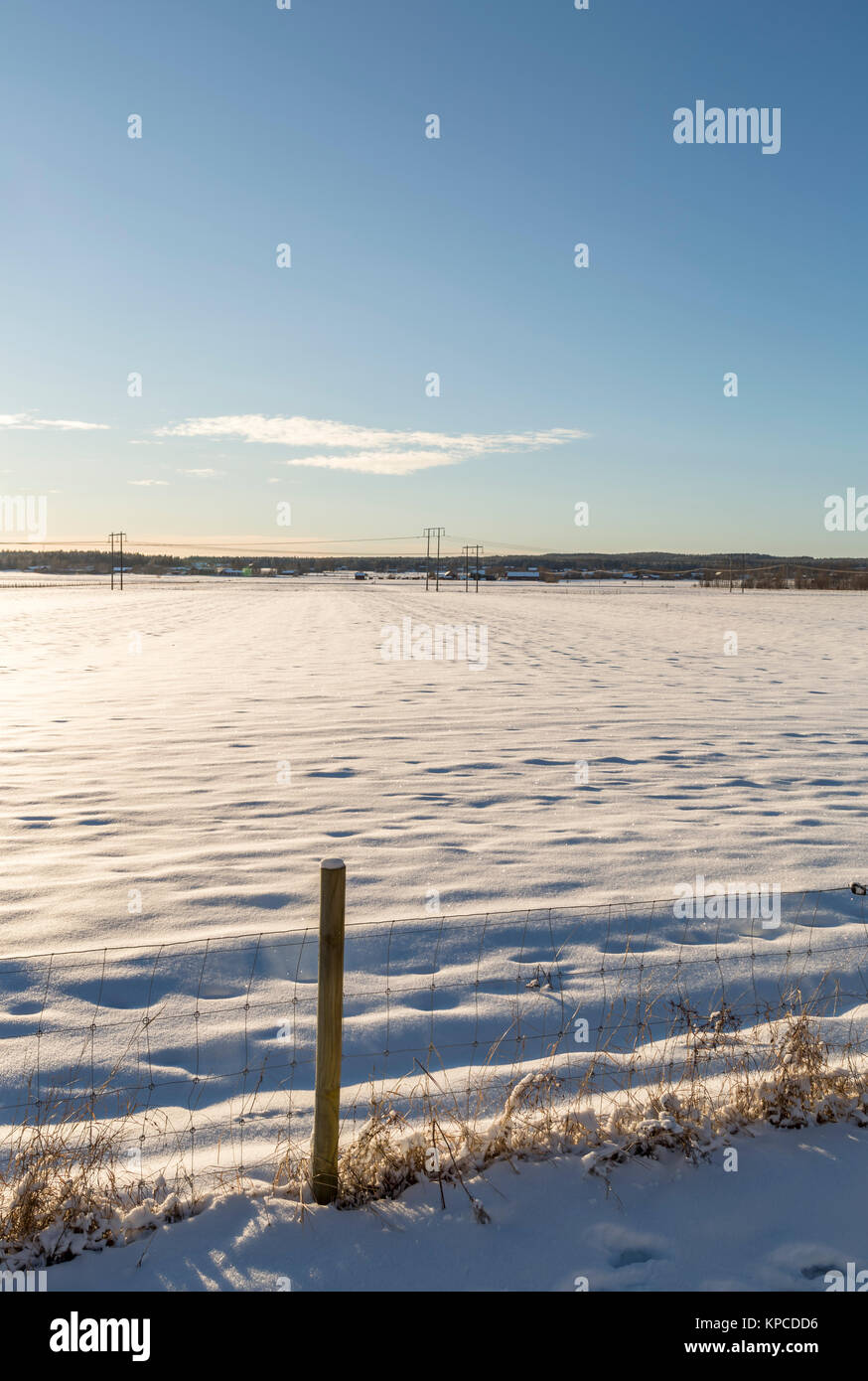 Winter Field in UmeÃ¥, Sweden Stock Photo - Alamy