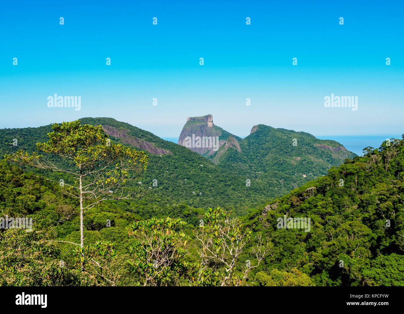 Tijuca Forest National Park High Resolution Stock Photography and ...
