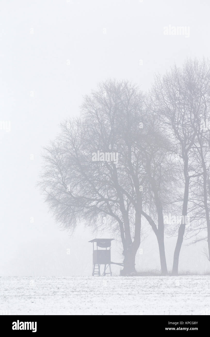 Raised hide under tree in snow covered field in the mist in winter ...