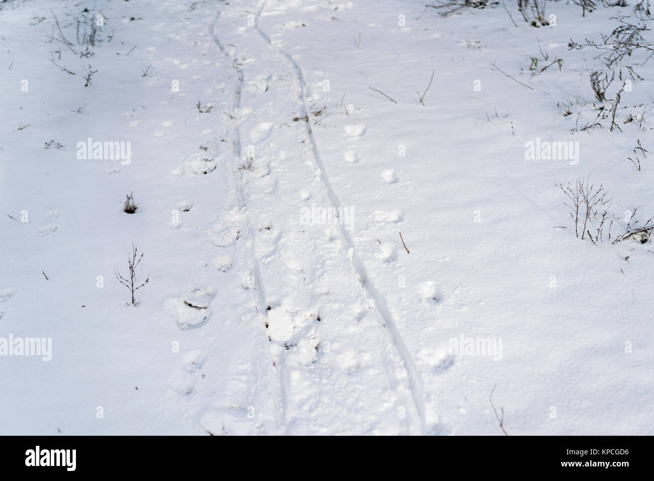 Sleigh traces on snow Stock Photo - Alamy