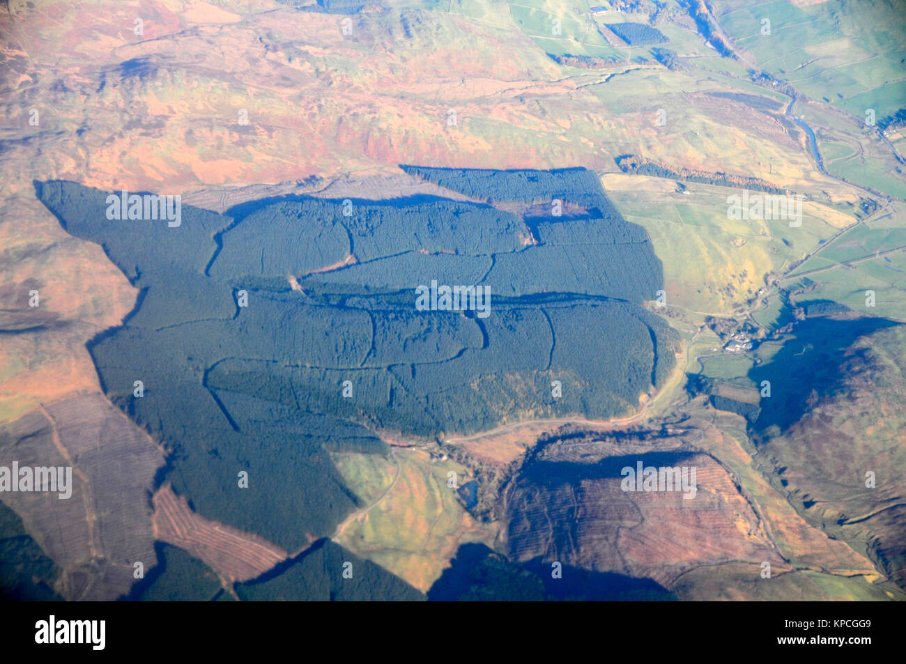 Planted conifers hi-res stock photography and images - Alamy