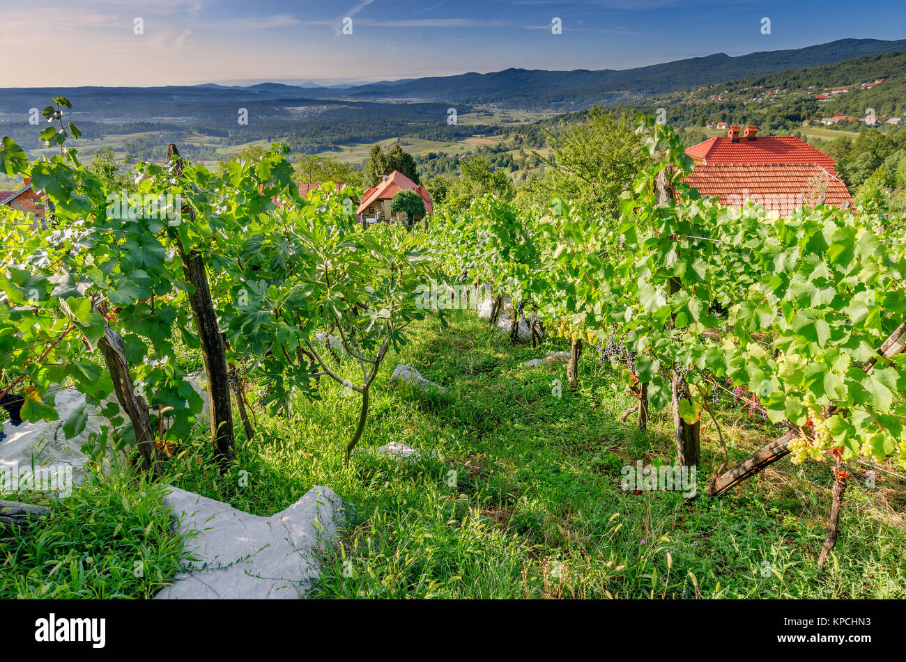 Bela krajina white carniola region in slovenia hi-res stock photography ...