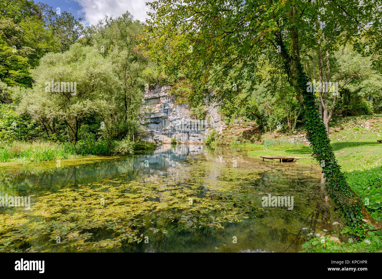 Krupa river source, Bela Krajina (White Carniola) region in Slovenia ...