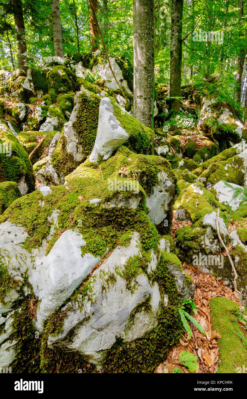 Picturesque limestones on Kocevski Rog mount, Bela Krajina (White ...