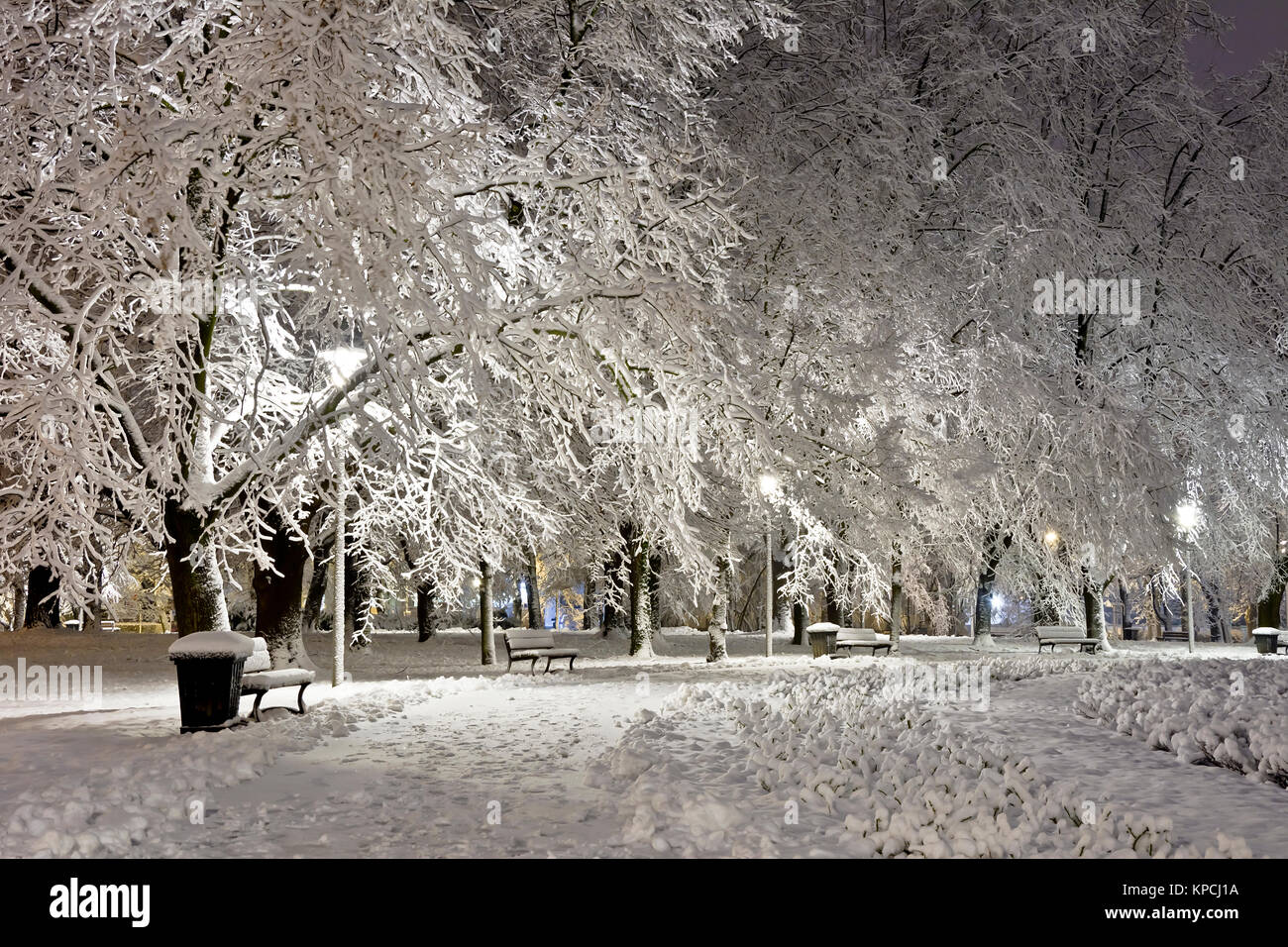 A snow-covered city park at night. Winter. City at night Stock Photo ...