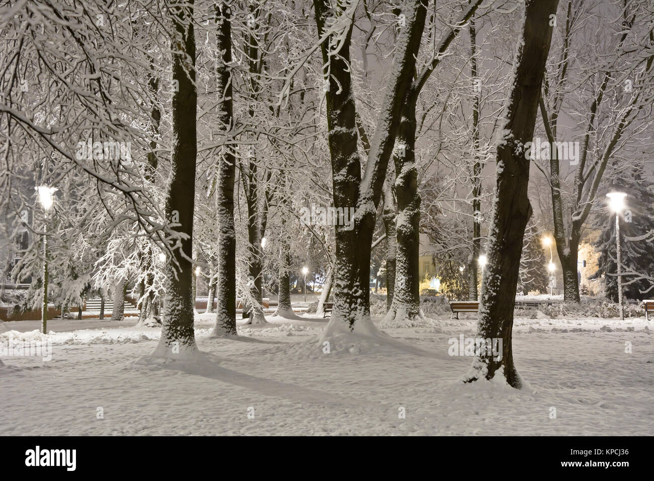 A snow-covered city park at night. Winter. City at night Stock Photo ...