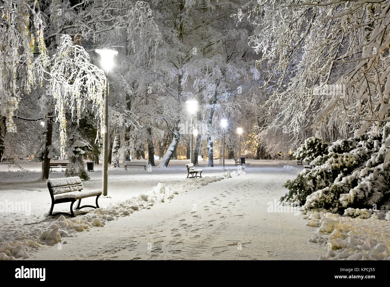 A snow-covered city park at night. Winter. City at night Stock Photo ...