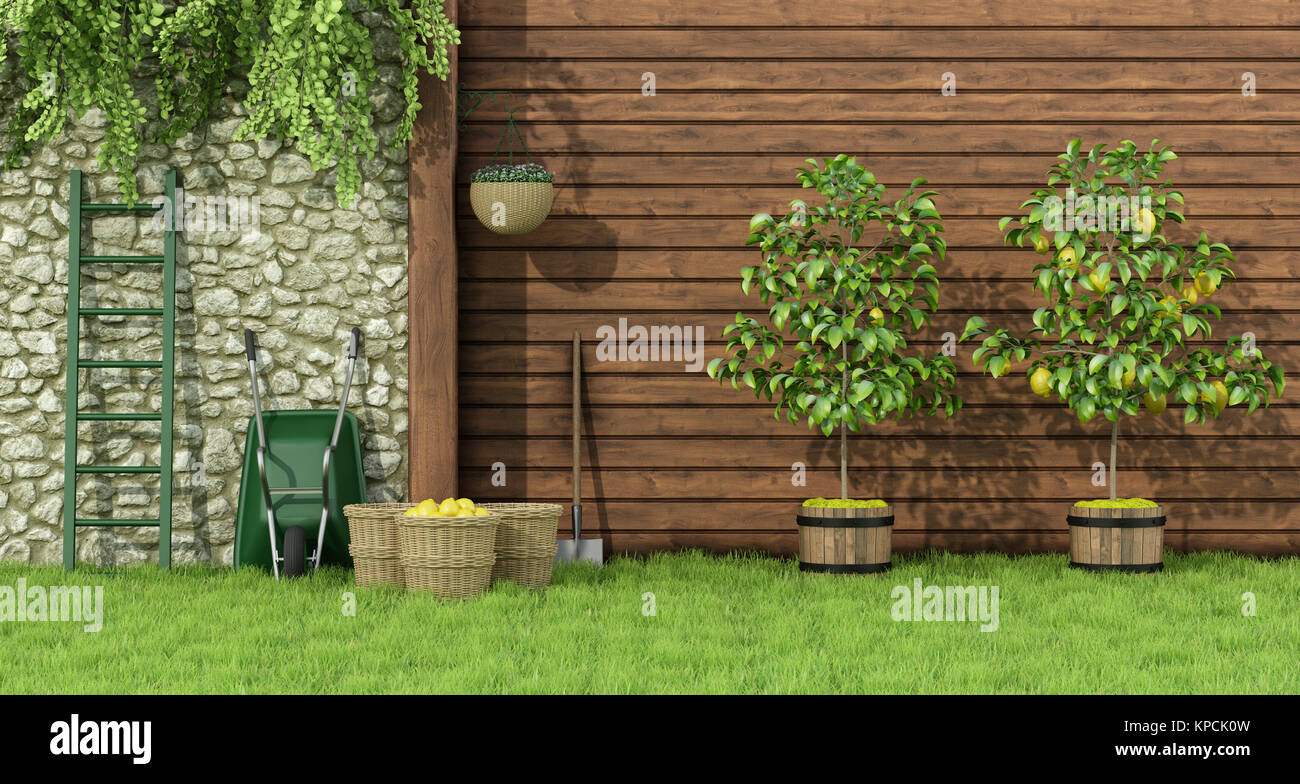 Garden with lemon tree Stock Photo - Alamy