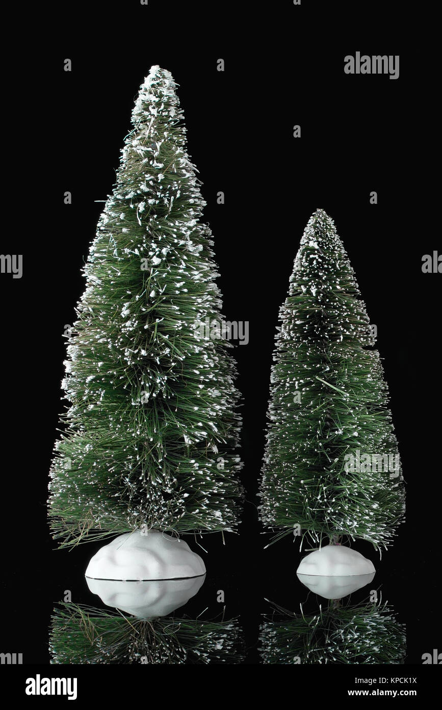 Miniature pine trees Stock Photo - Alamy