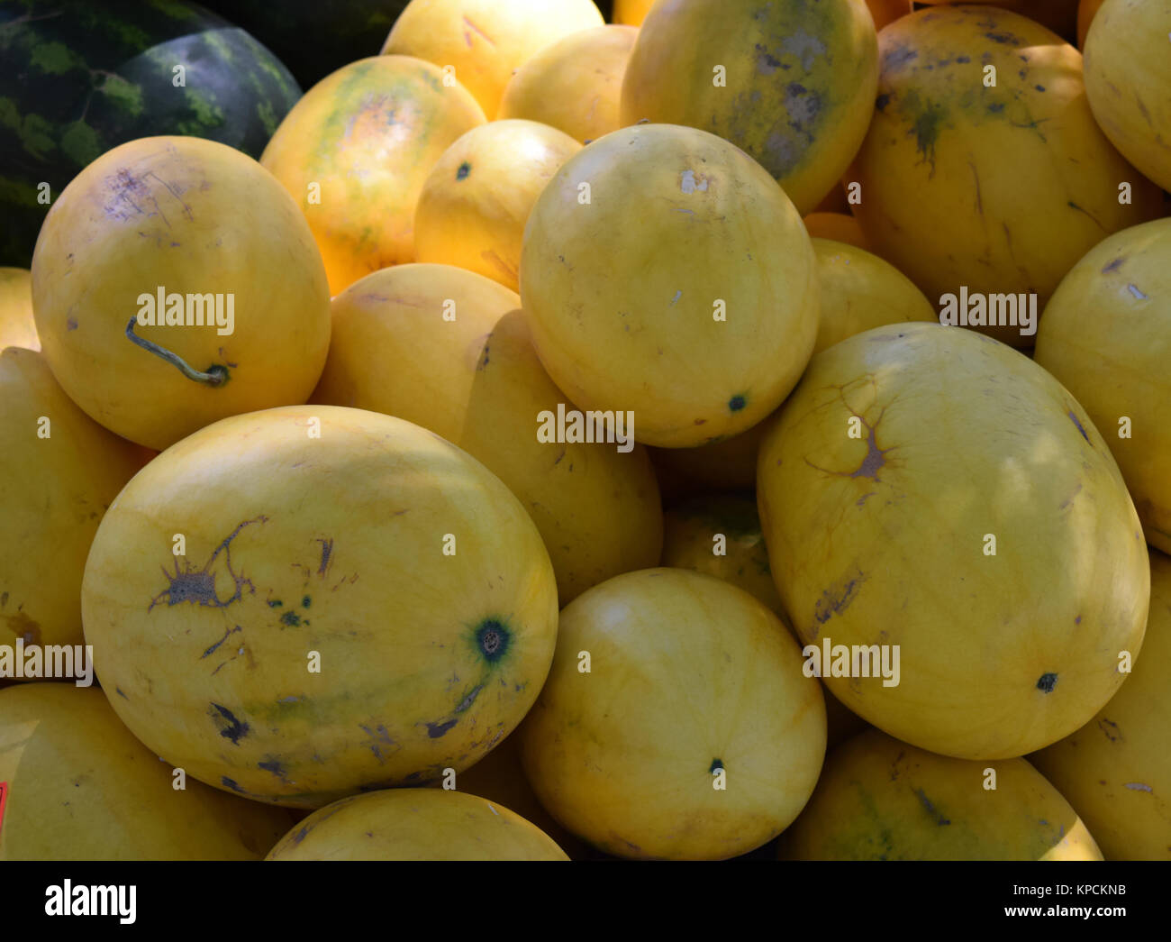 Yellow fresh watermelon Stock Photo - Alamy
