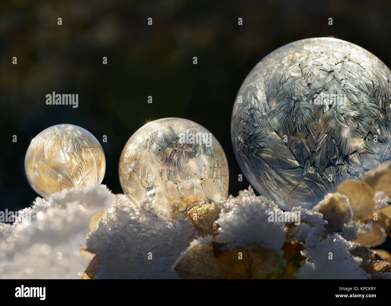 Close up of three frozen soap bubbles with icy crystalline patterns on ...
