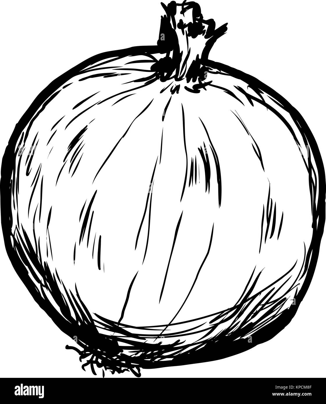 Vegetable outline art Black and White Stock Photos & Images - Alamy
