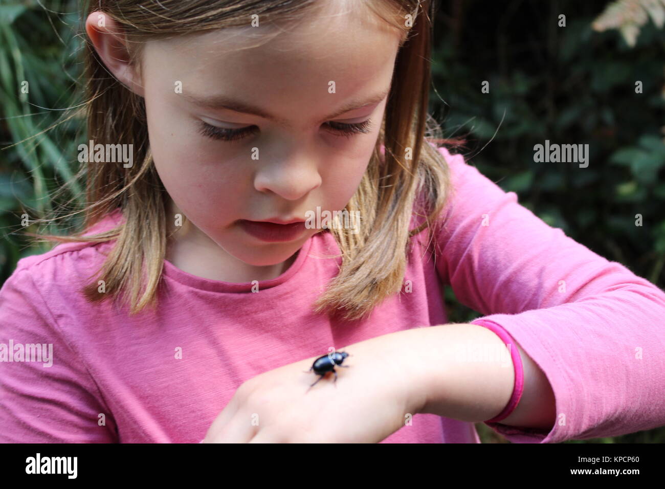Girl holding bug hi-res stock photography and images - Alamy