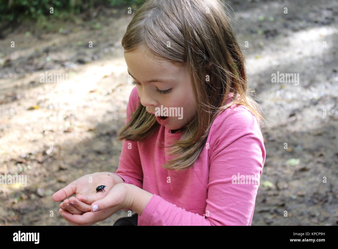 Child holding insect hi-res stock photography and images - Alamy