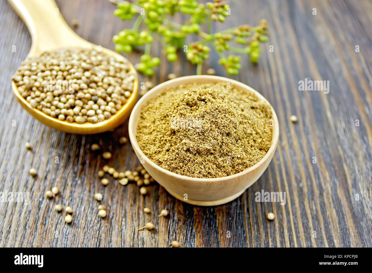 Coriander in bowl and spoon on dark board Stock Photo - Alamy