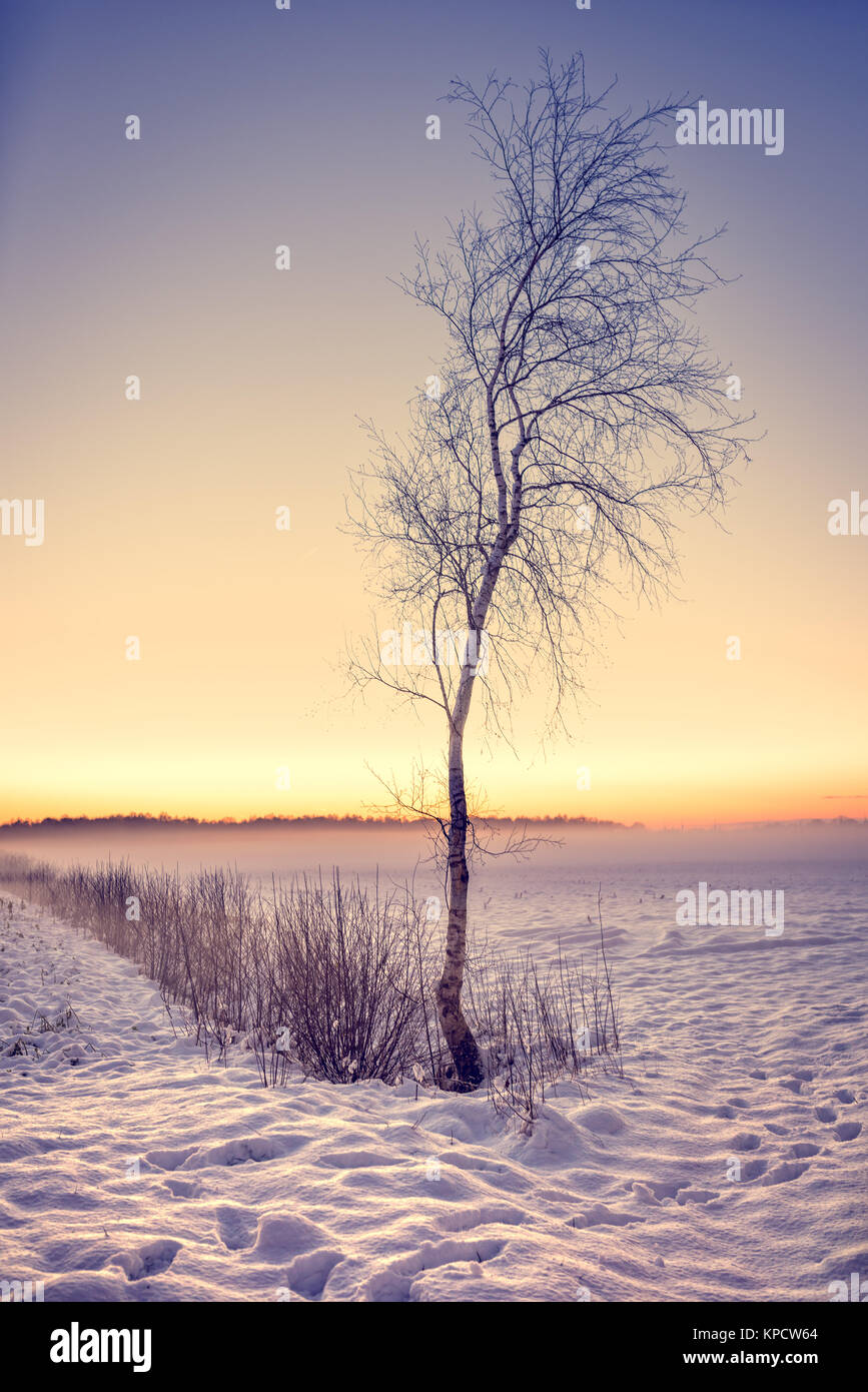 winter landscape with color look Stock Photo - Alamy