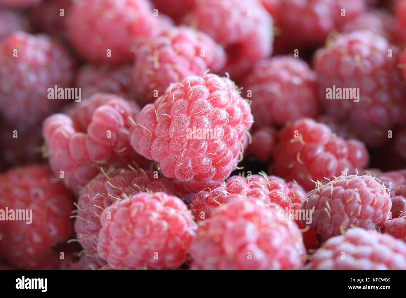 Fresh raspberries background closeup photo Stock Photo - Alamy