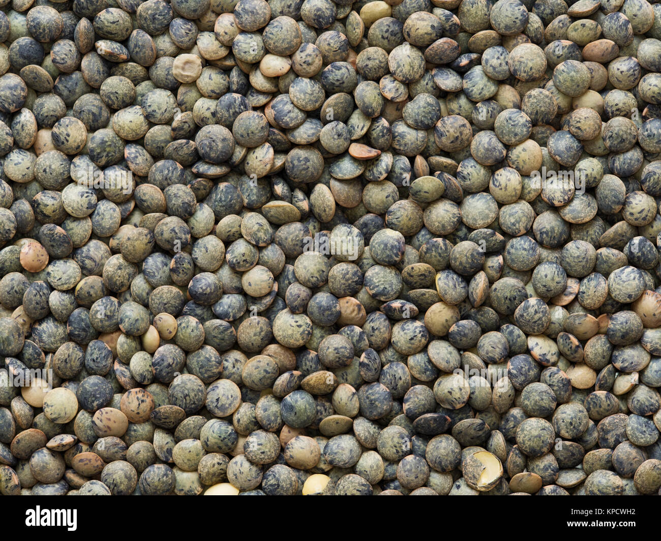 dried french green puy lentil food background Stock Photo - Alamy