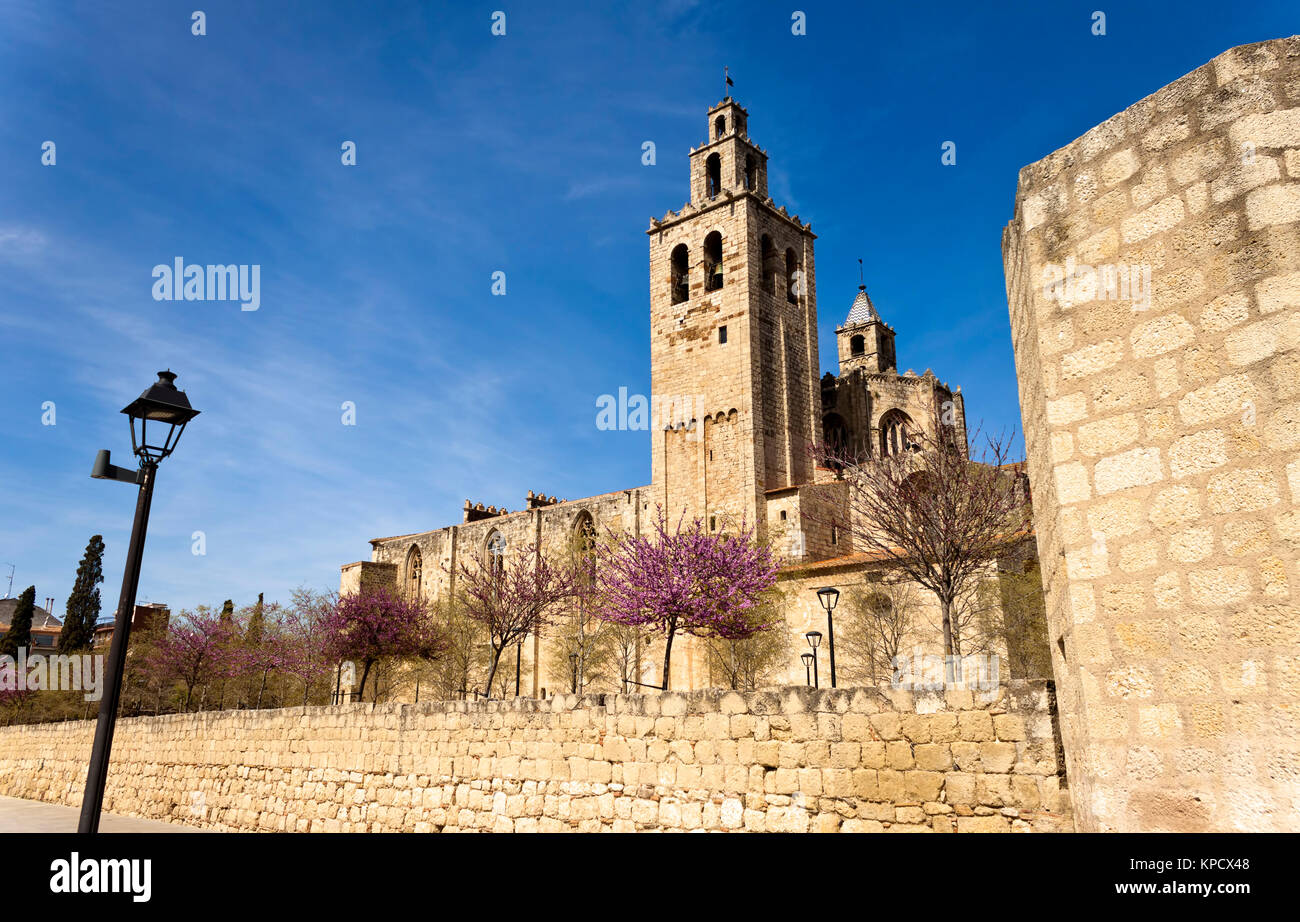 Romanesque monastery of Sant Cugat Stock Photo - Alamy
