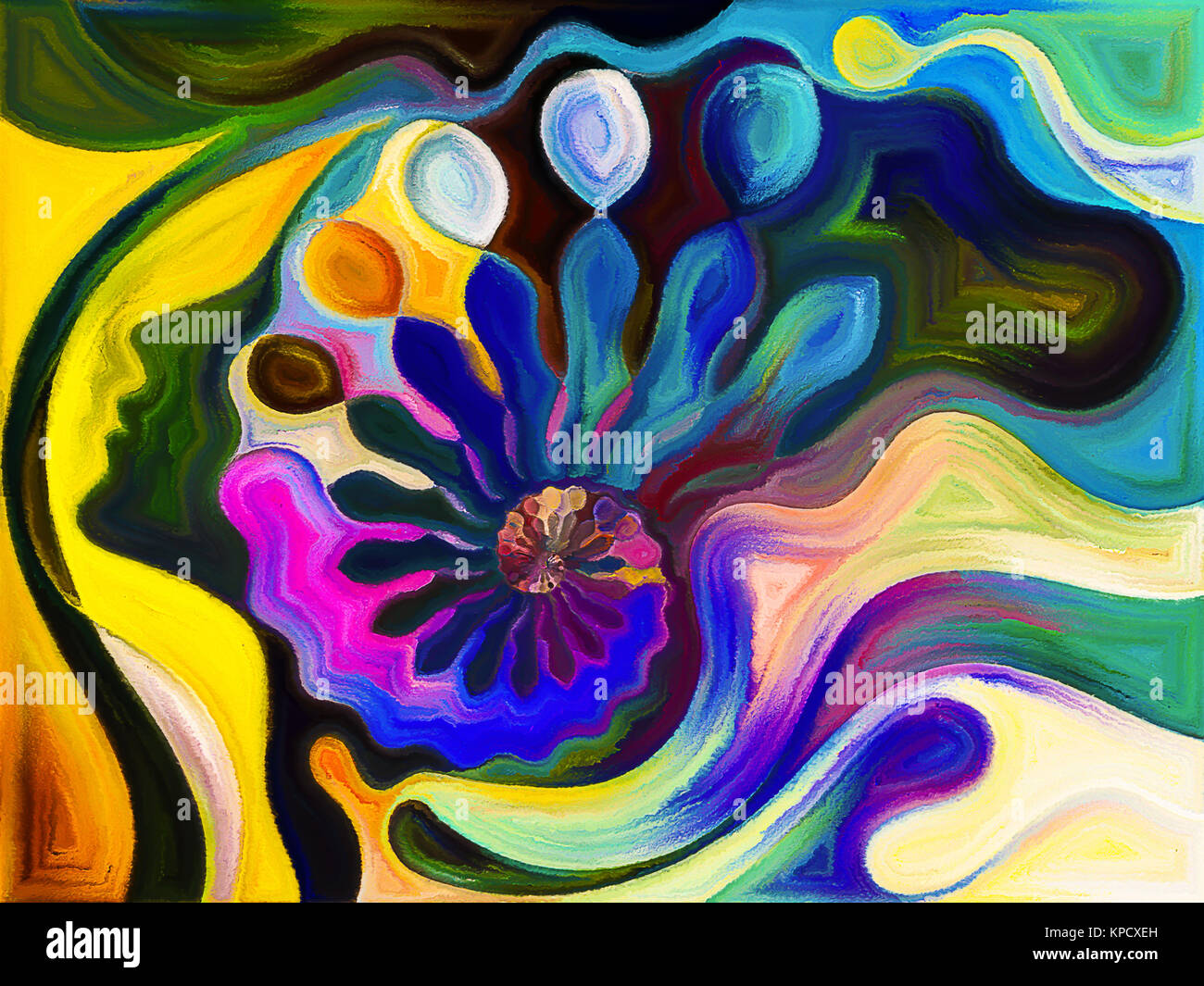 The Professional Division Stock Photo - Alamy