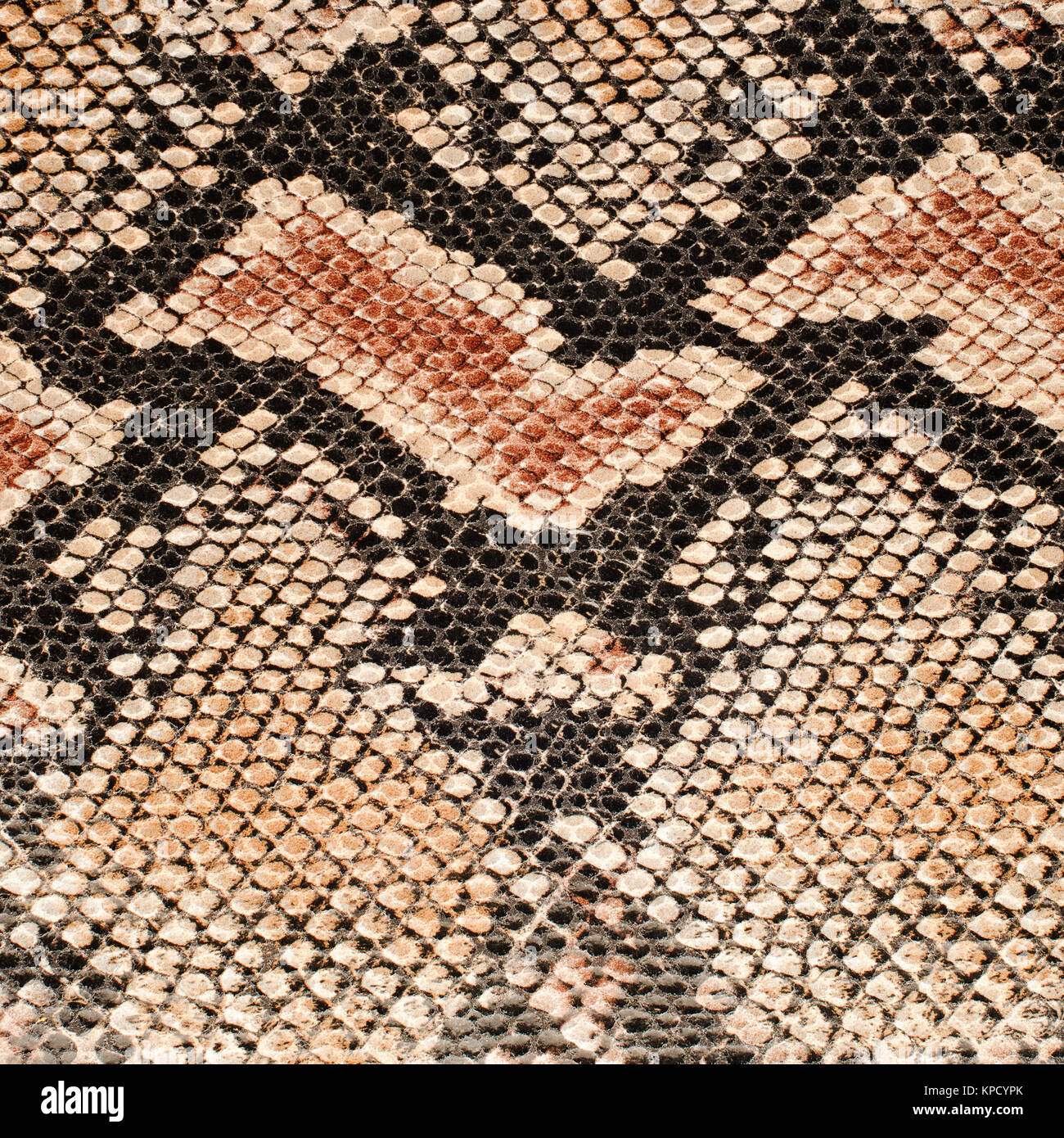 Snake skin background Stock Photo - Alamy