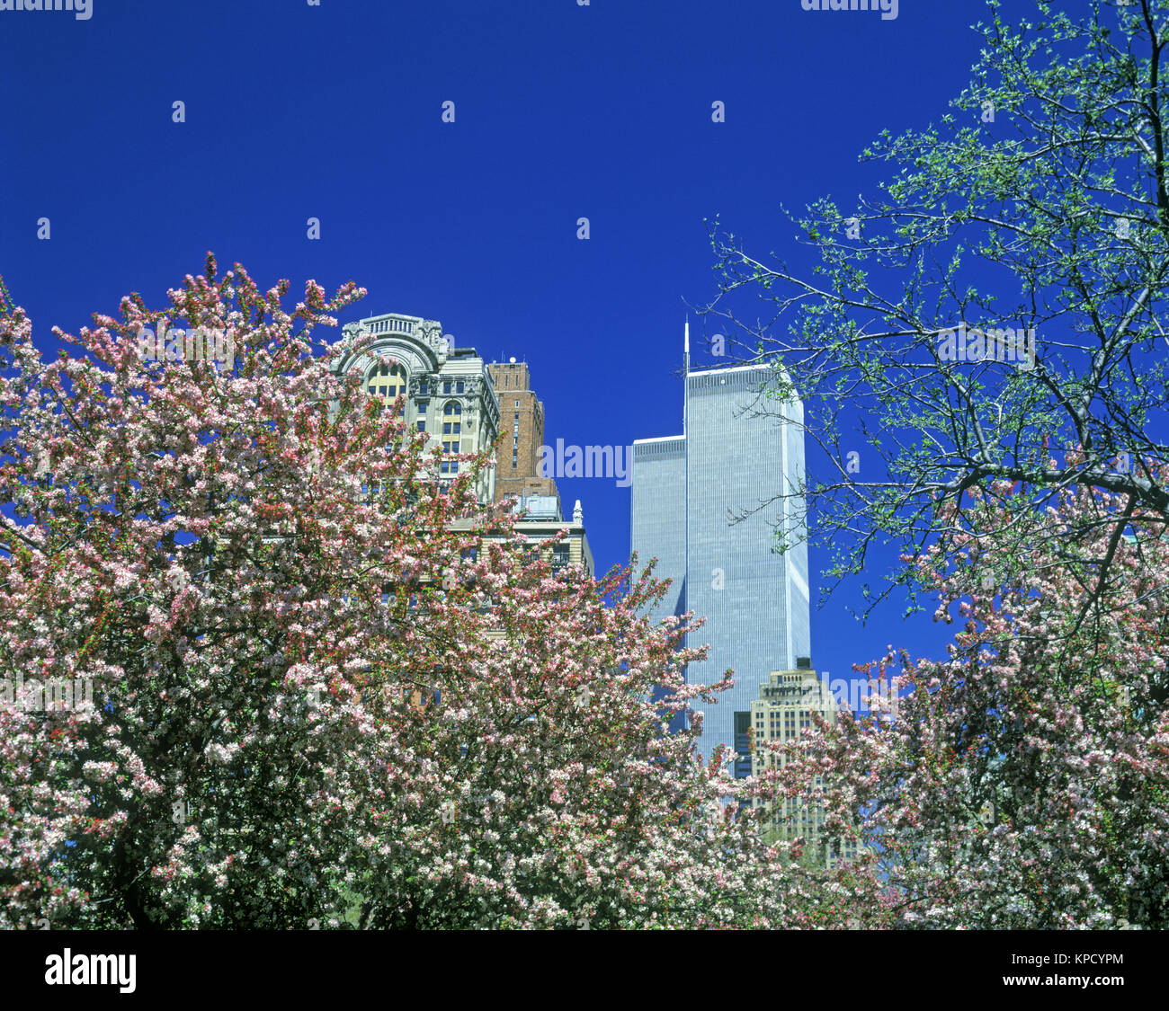 1999 HISTORICAL SPRING BLOSSOMS TWIN TOWERS (©MINORU YAMASAKI 1973 ...