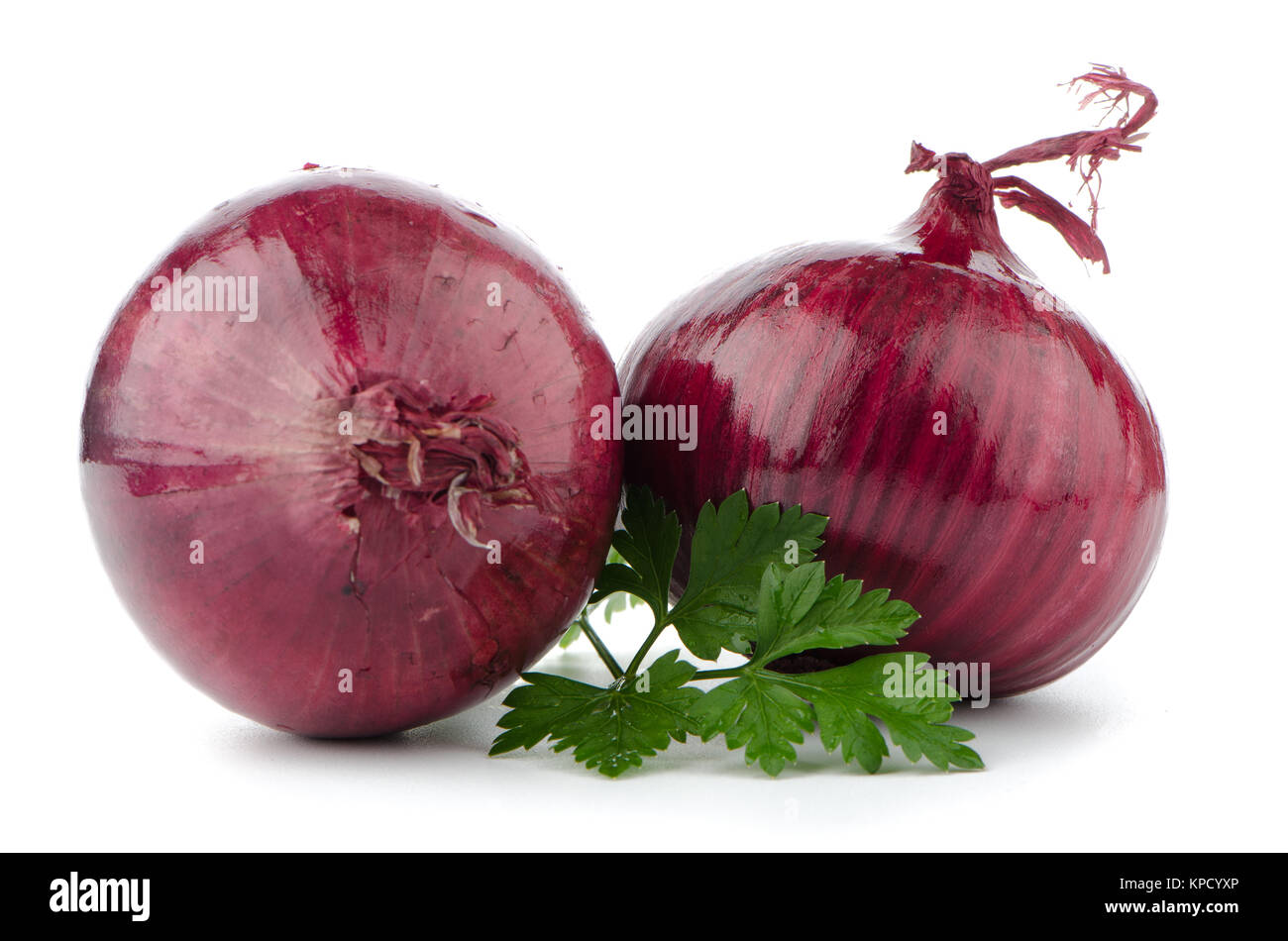Big onions Cut Out Stock Images & Pictures - Alamy