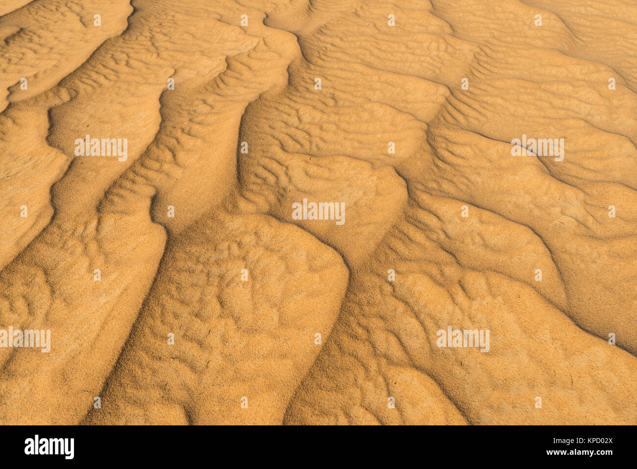 sanddunes in the desert shaped by wind Stock Photo - Alamy