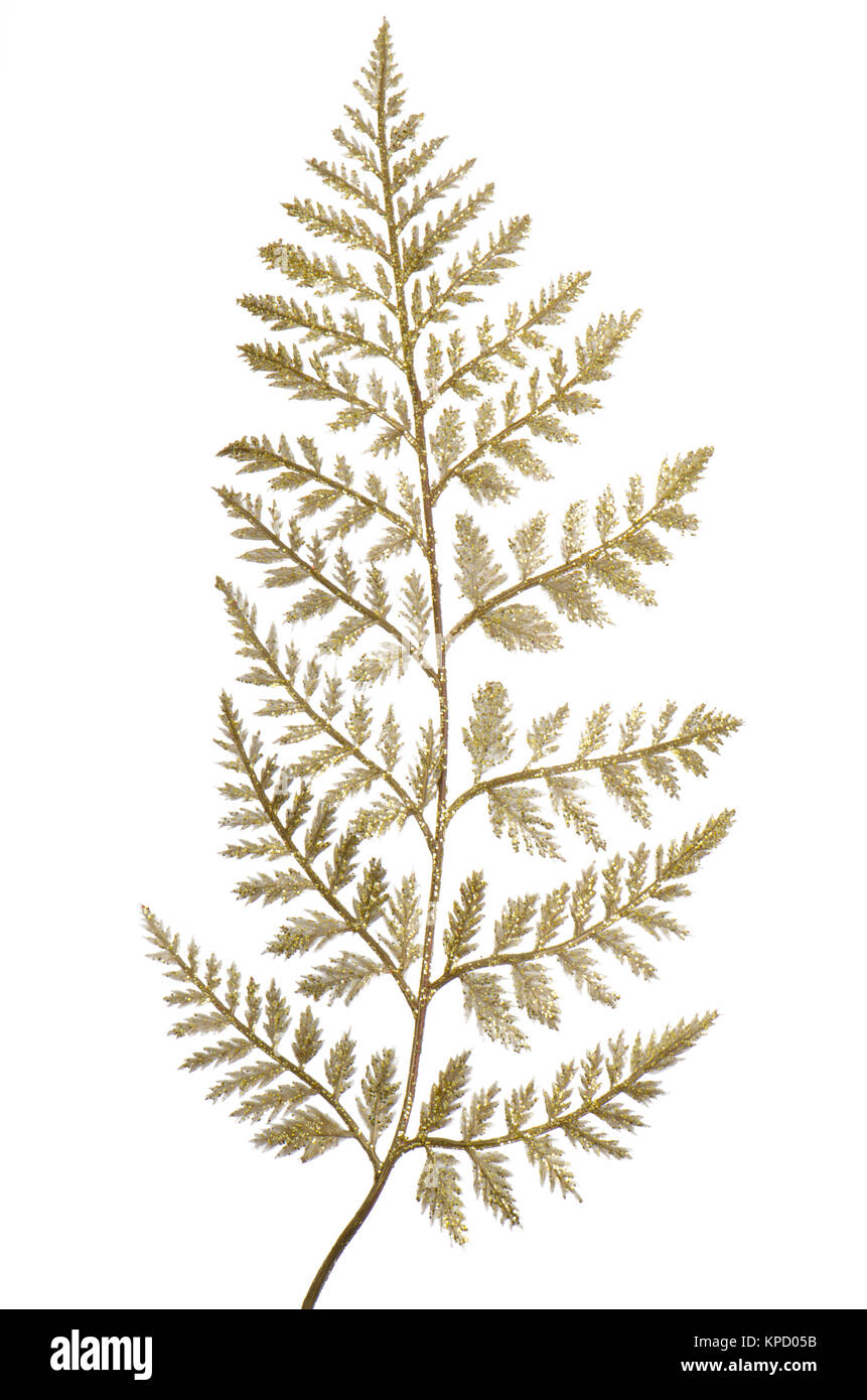 Luxury shiny christmas tree Cut Out Stock Images & Pictures - Alamy