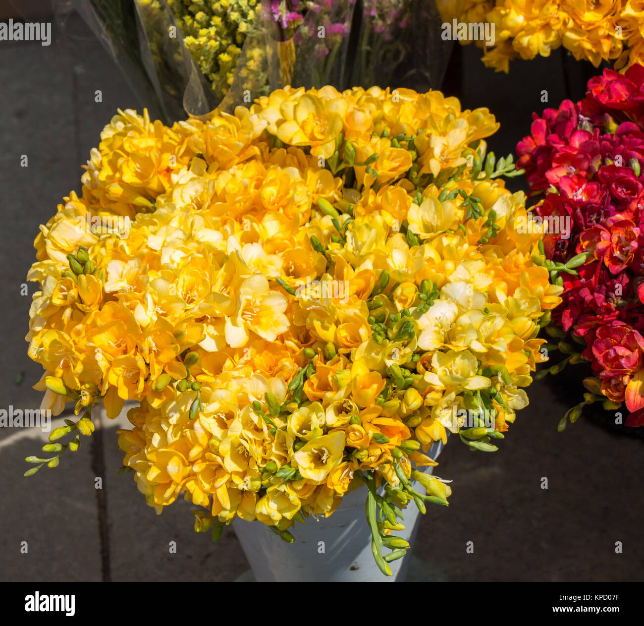 Colorful blooming spring flowers in vase Stock Photo - Alamy