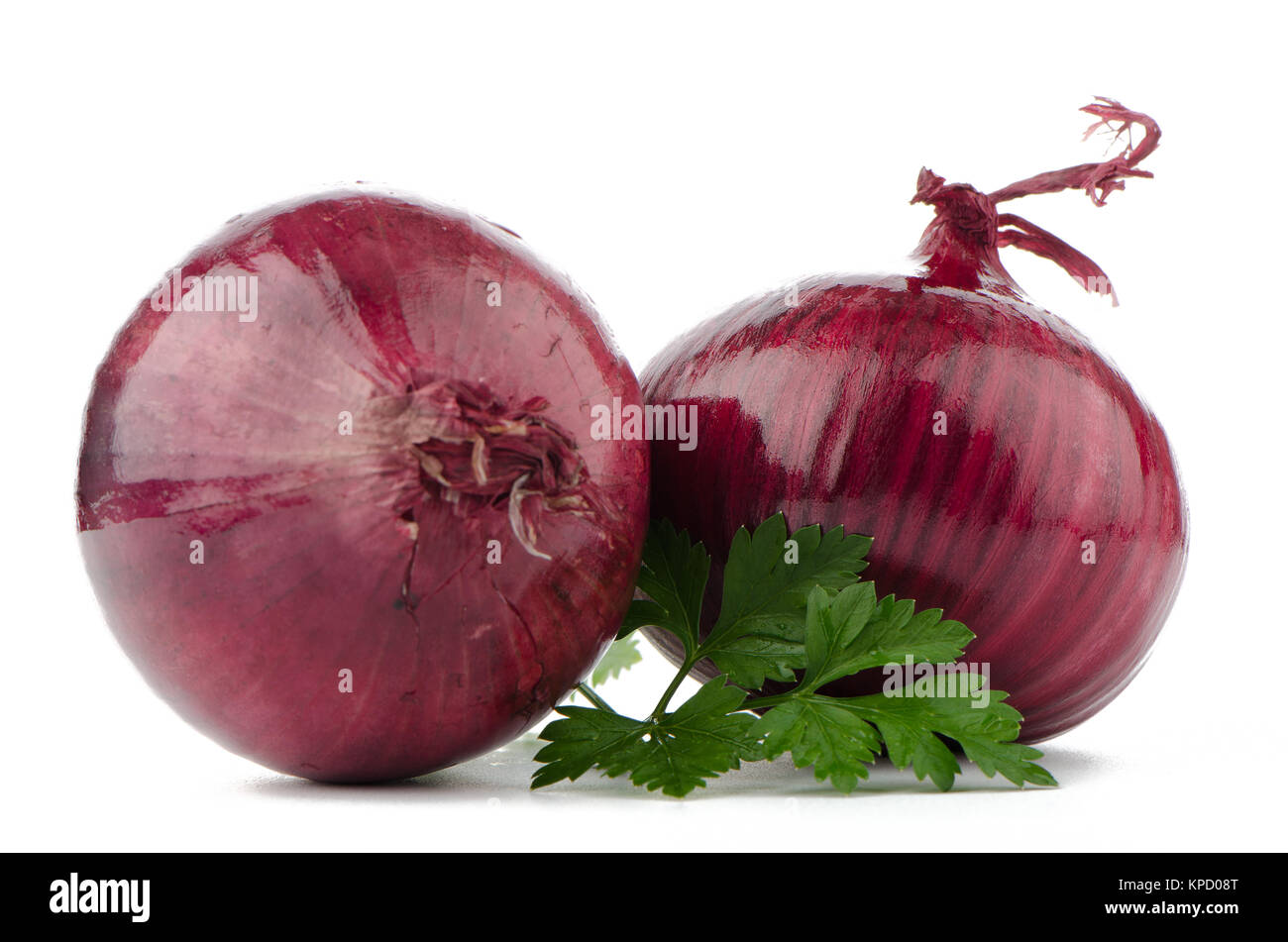 Big onions Cut Out Stock Images & Pictures - Alamy