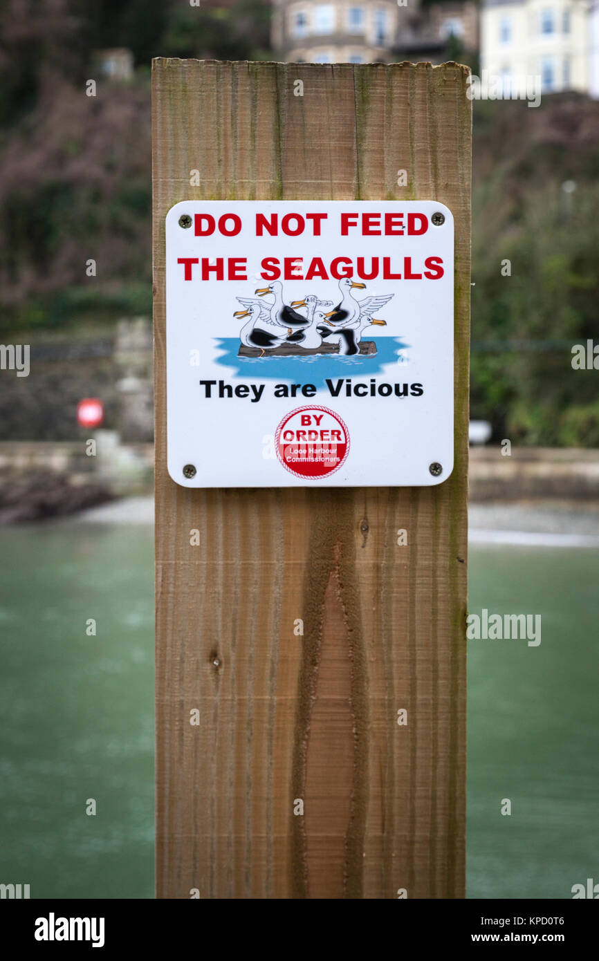 Seagull warning hi-res stock photography and images - Alamy