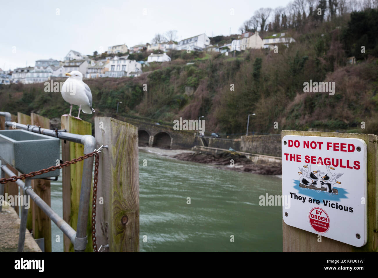 'Do not feed the seagulls, they are vicious' sign on a wooden post ...