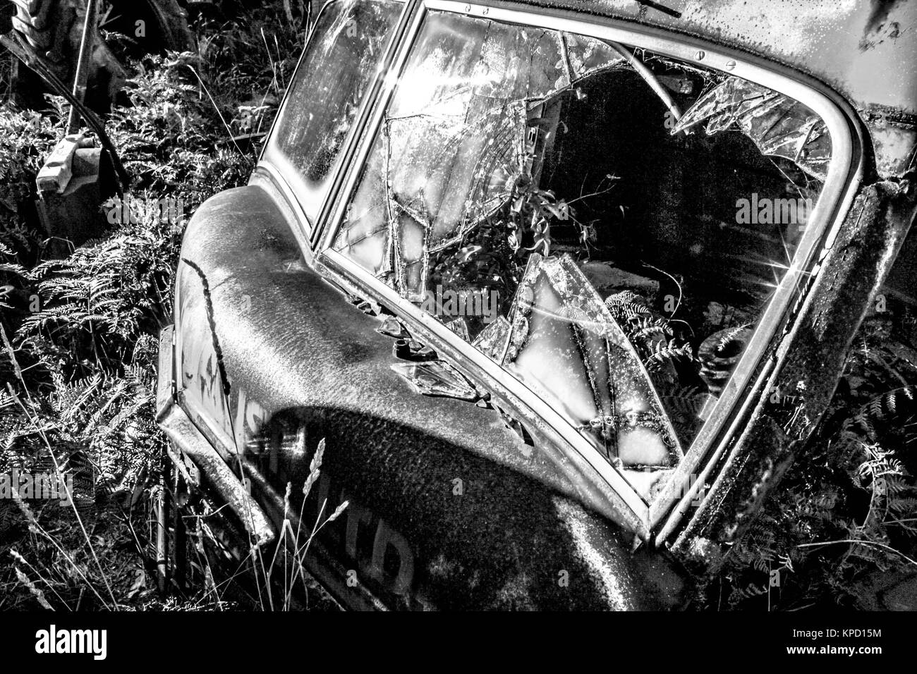 RUSTED VAN, TASMANIA, AUSTRALIA Stock Photo - Alamy