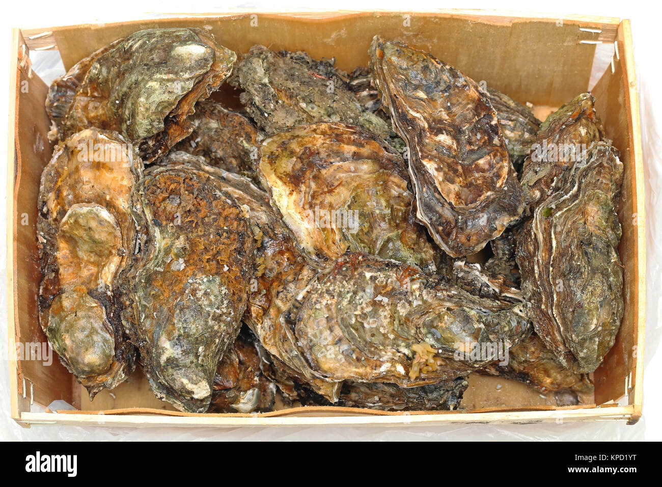 Boxes oysters oyster box hi-res stock photography and images - Alamy