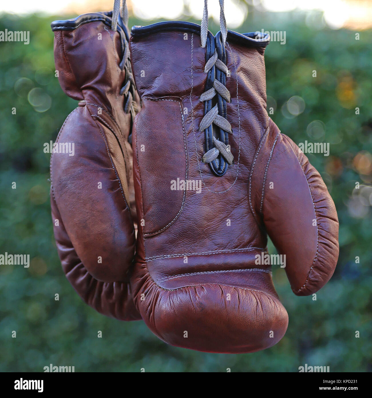 Vintage Boxing Gloves Stock Photo - Alamy
