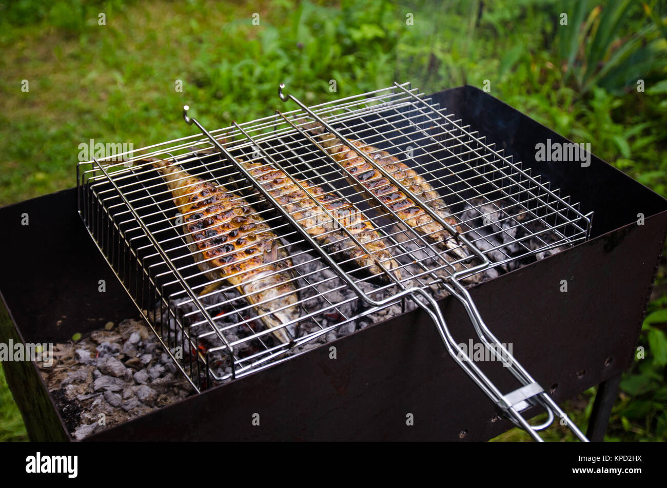 Fish on the grill Stock Photo - Alamy