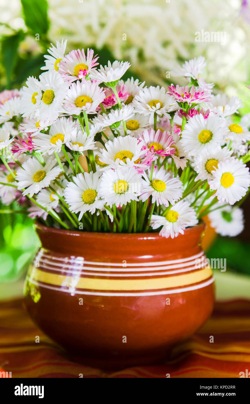 A bouquet of daisies in a pot at the table Stock Photo - Alamy