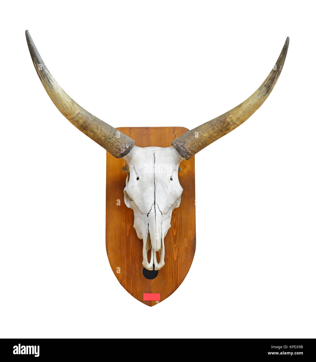 Scary bull Cut Out Stock Images & Pictures - Alamy