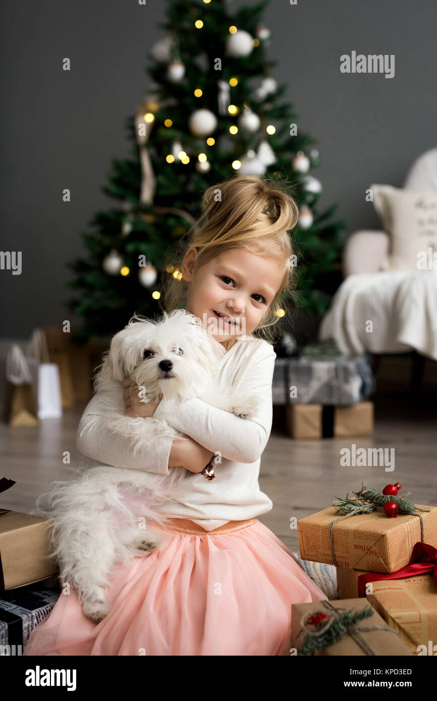 Cute girl with dog sitting near the Christmas tree. Merry Christmas and ...
