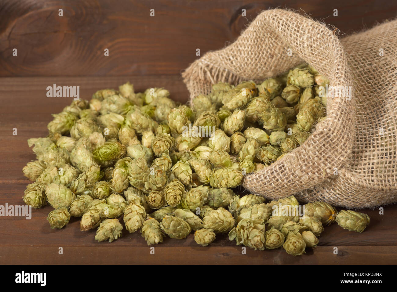 Dried hops hi-res stock photography and images - Alamy