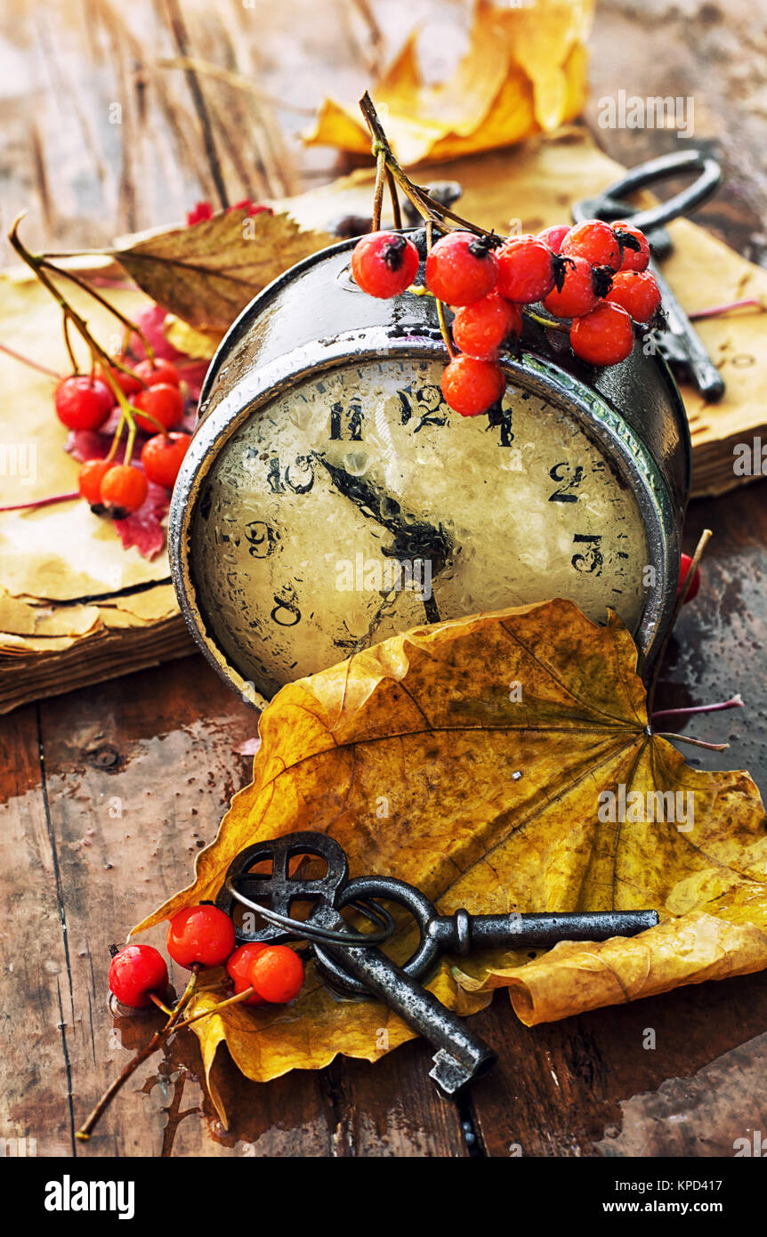Autumn still life.The composition with the fallen leaves Stock Photo ...