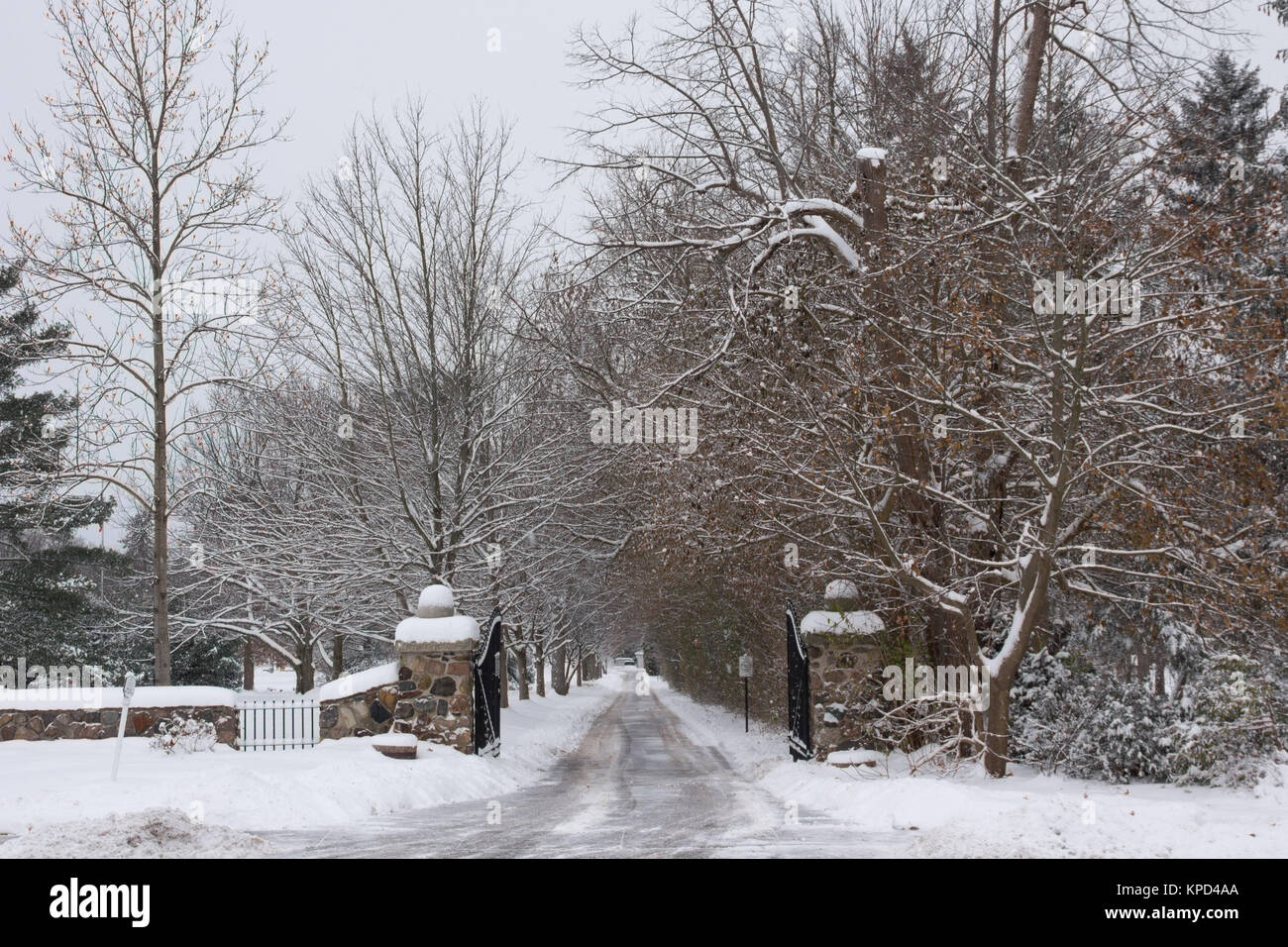 Tree lined driveway of Veterans Memorial Garden and Markillie Cemetery ...