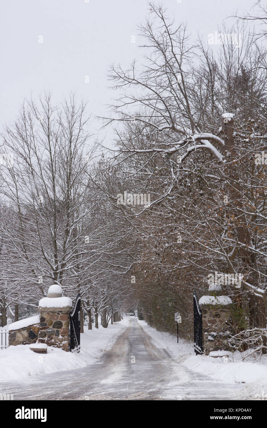 Tree lined driveway of Veterans Memorial Garden and Markillie Cemetery ...