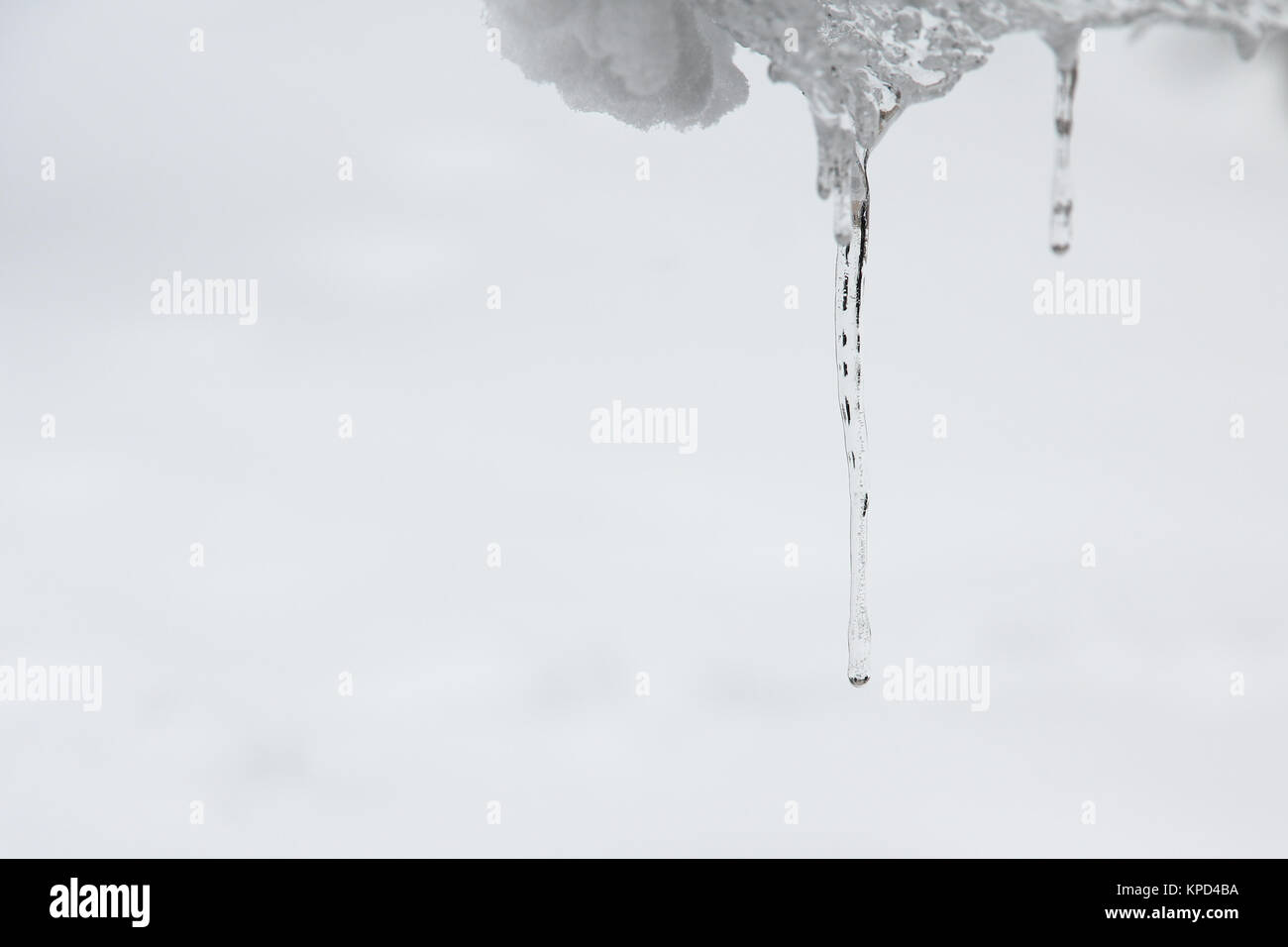 Melting ice close-up Stock Photo - Alamy