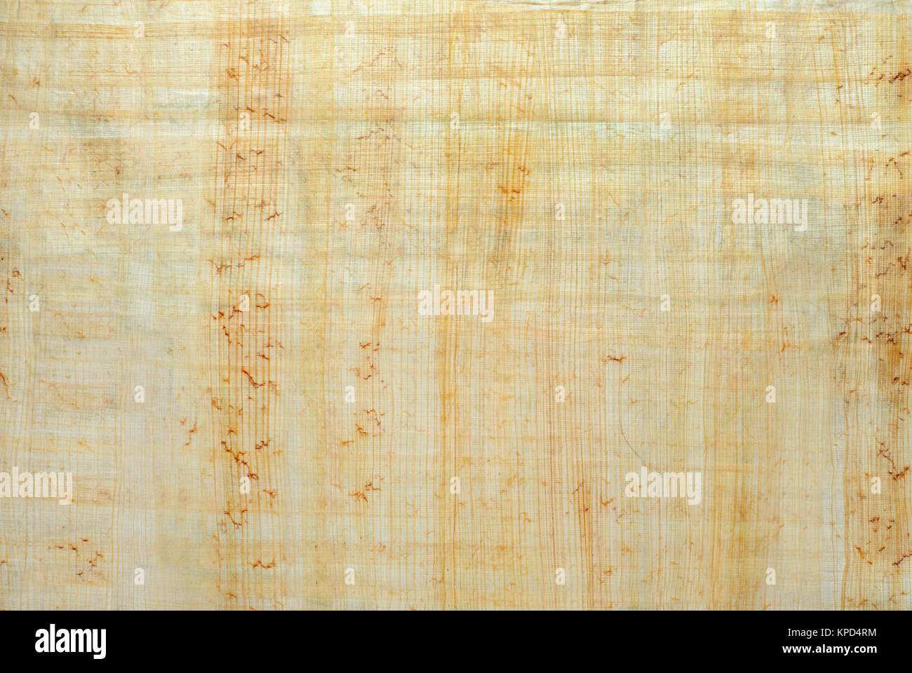 background, texture: surface of natural Egyptian papyrus, created by ...