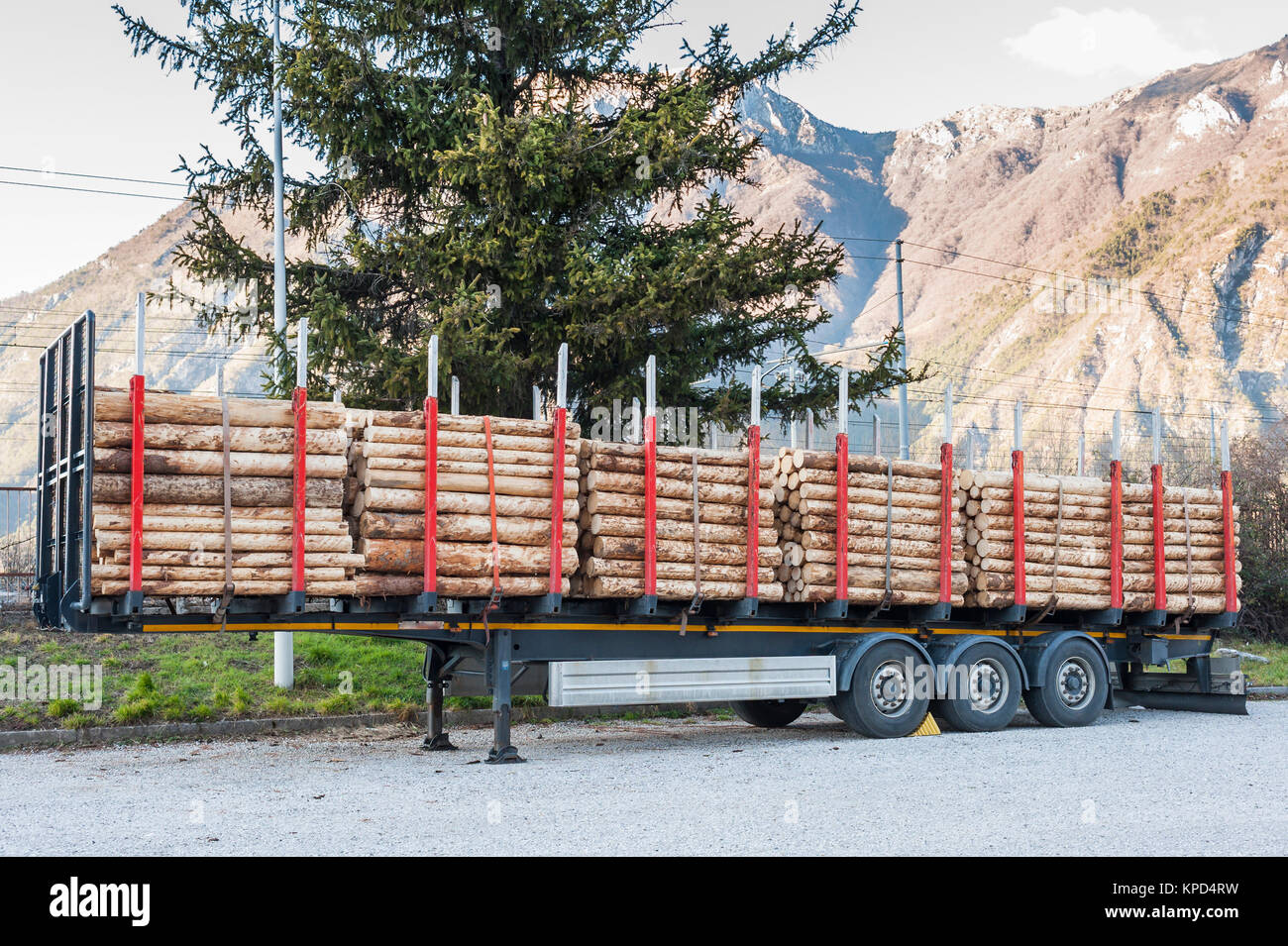 Forest industry. Trailer loaded with tree trunks Stock Photo - Alamy